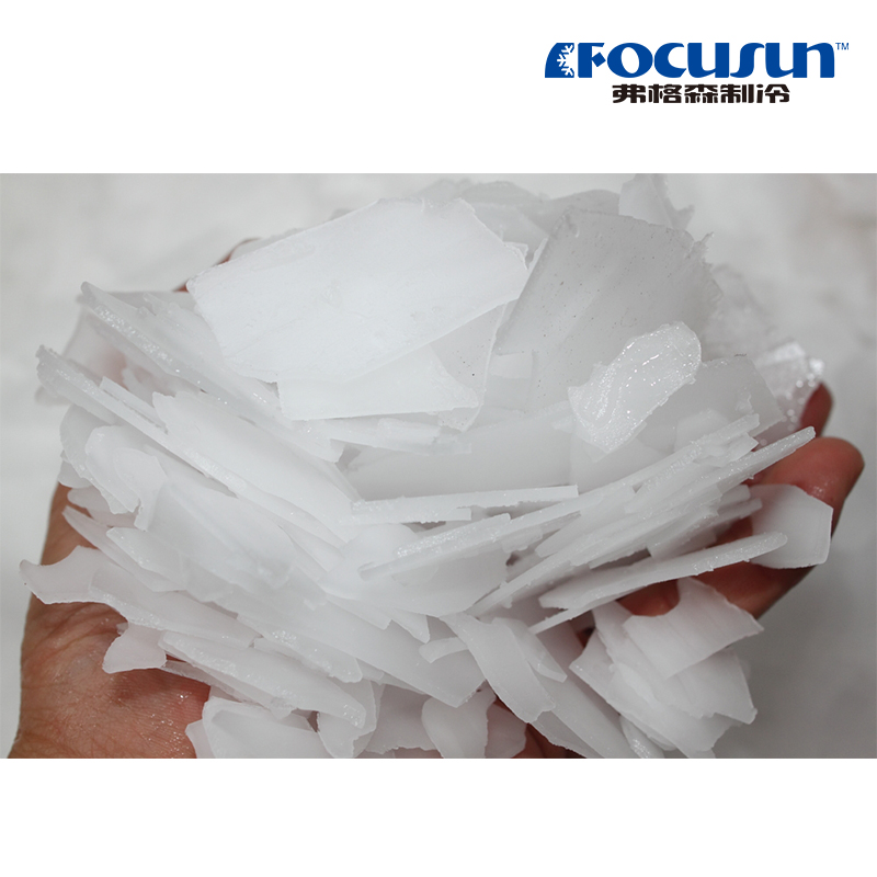 10T Containerized Ice Flake Maker – Focusun Refrigeration Co.,Ltd.