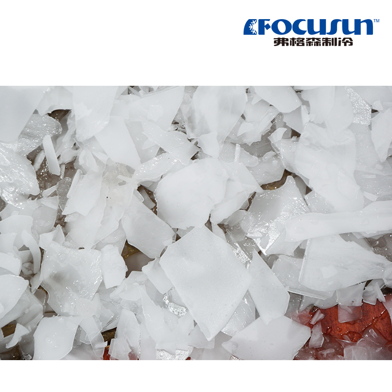 25T Containerized Snow Flakes Ice Machine – Focusun Refrigeration Co.,Ltd.