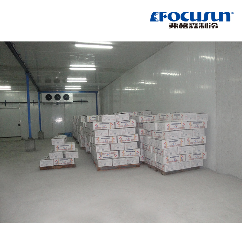 Cold Room For Meat And Seafood – Focusun Refrigeration Co.,Ltd.